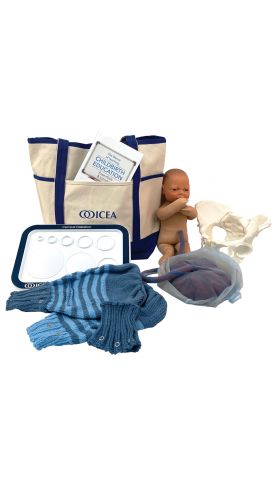ICEA Childbirth Educator Tool Kit With Beige Fetal Model